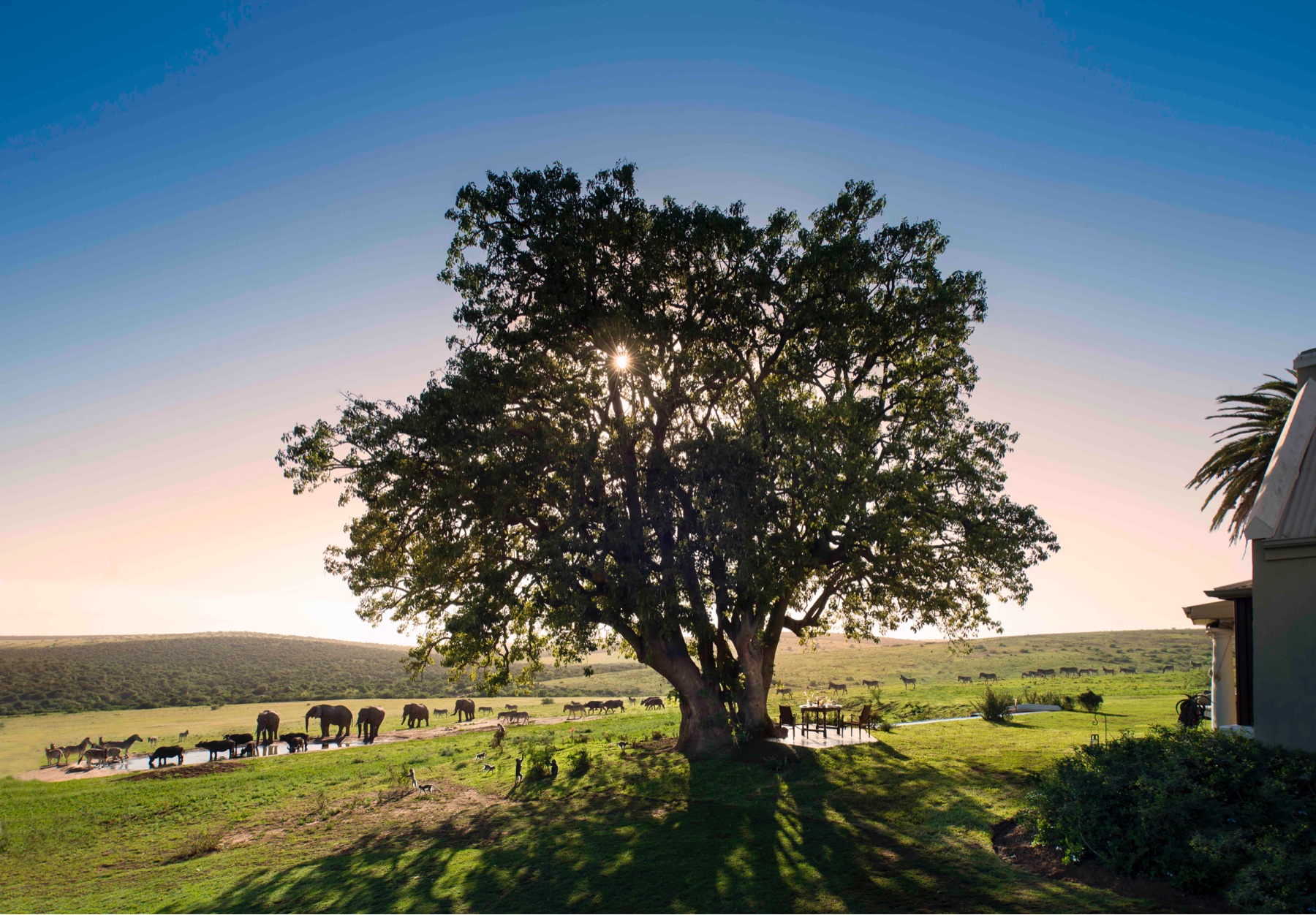 The Gorah Location - Gorah Elephant Camp
