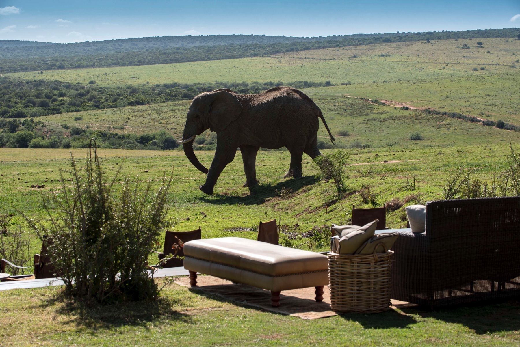 Celebrate your wedding or special event - Gorah Elephant Camp